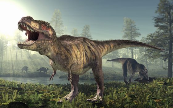 Tyrannosaurus Rex: ¿como era el increíble rey de los dinosaurios ...